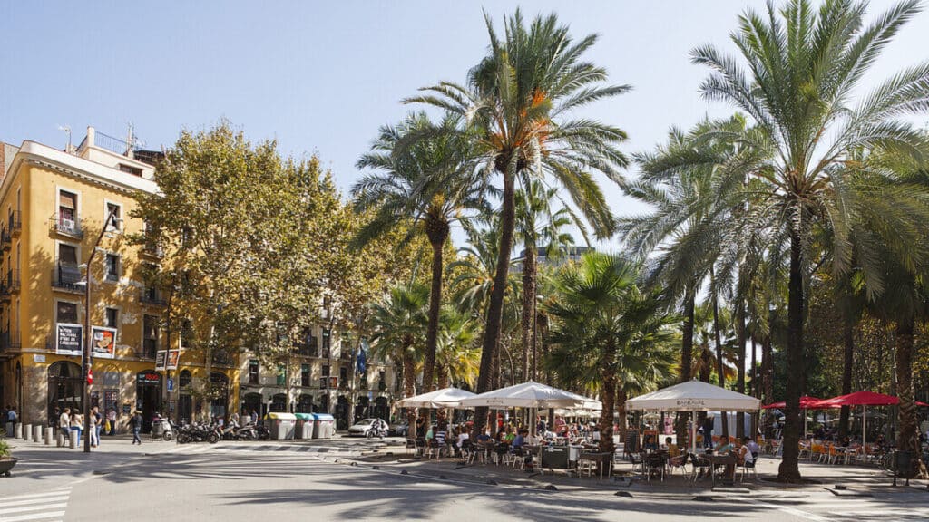 El Raval Guide Discover Barcelona s Most Colorful Neighborhood El Raval Guide Discover Barcelona s Most Colorful Neighborhood